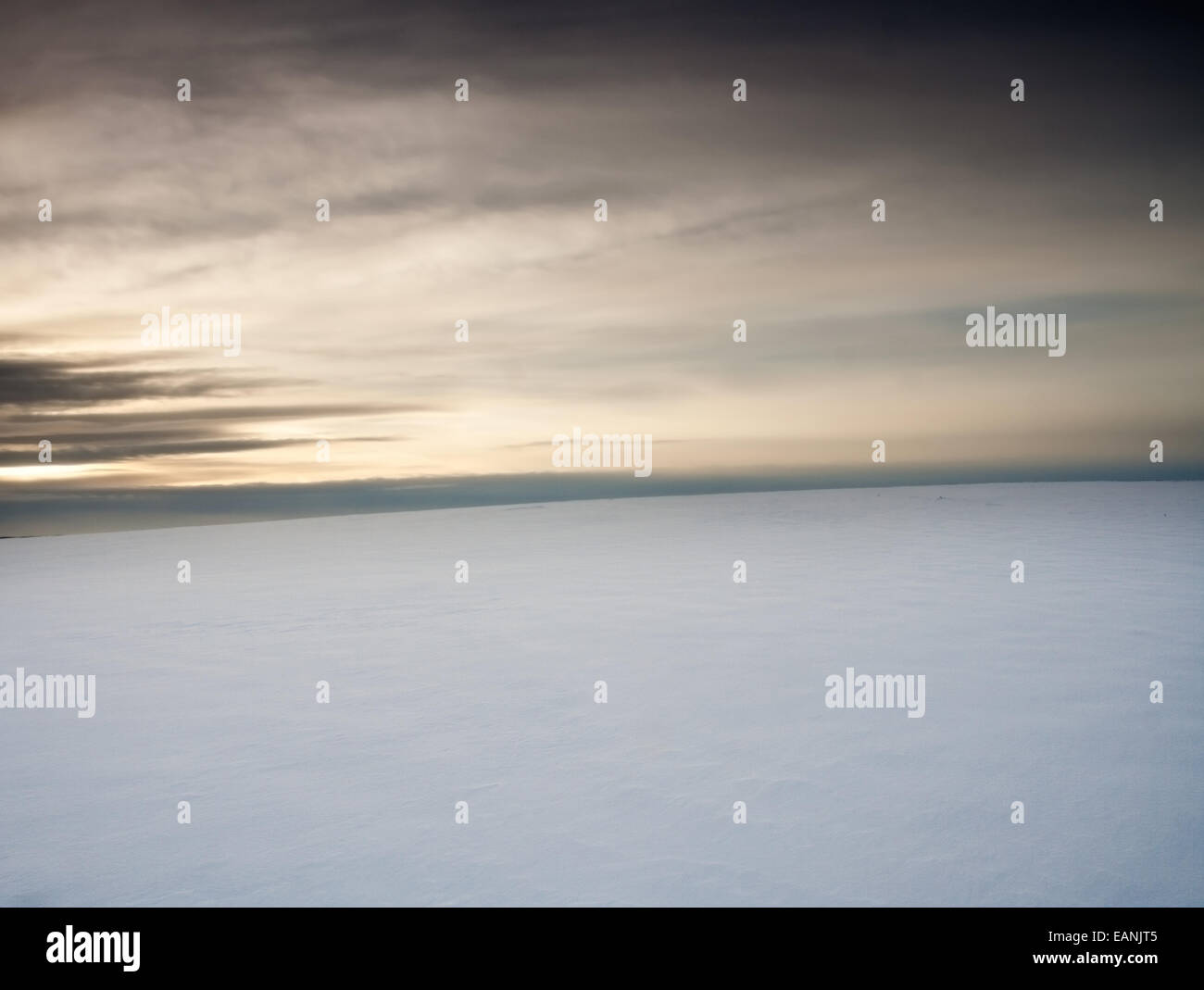 Winter field landscape Stock Photo - Alamy
