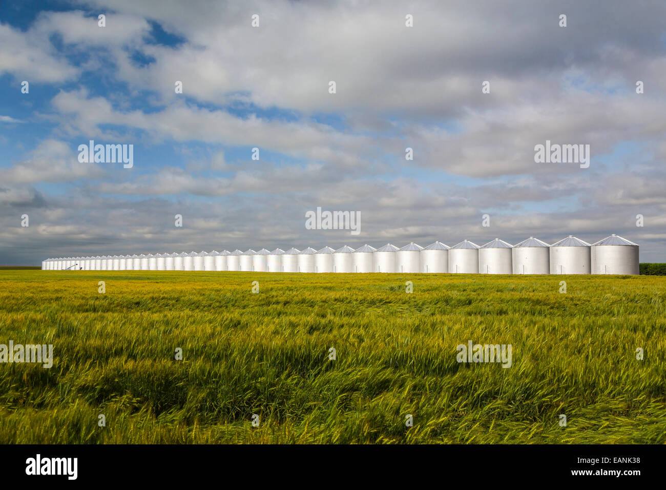 Row of bins hi-res stock photography and images - Alamy