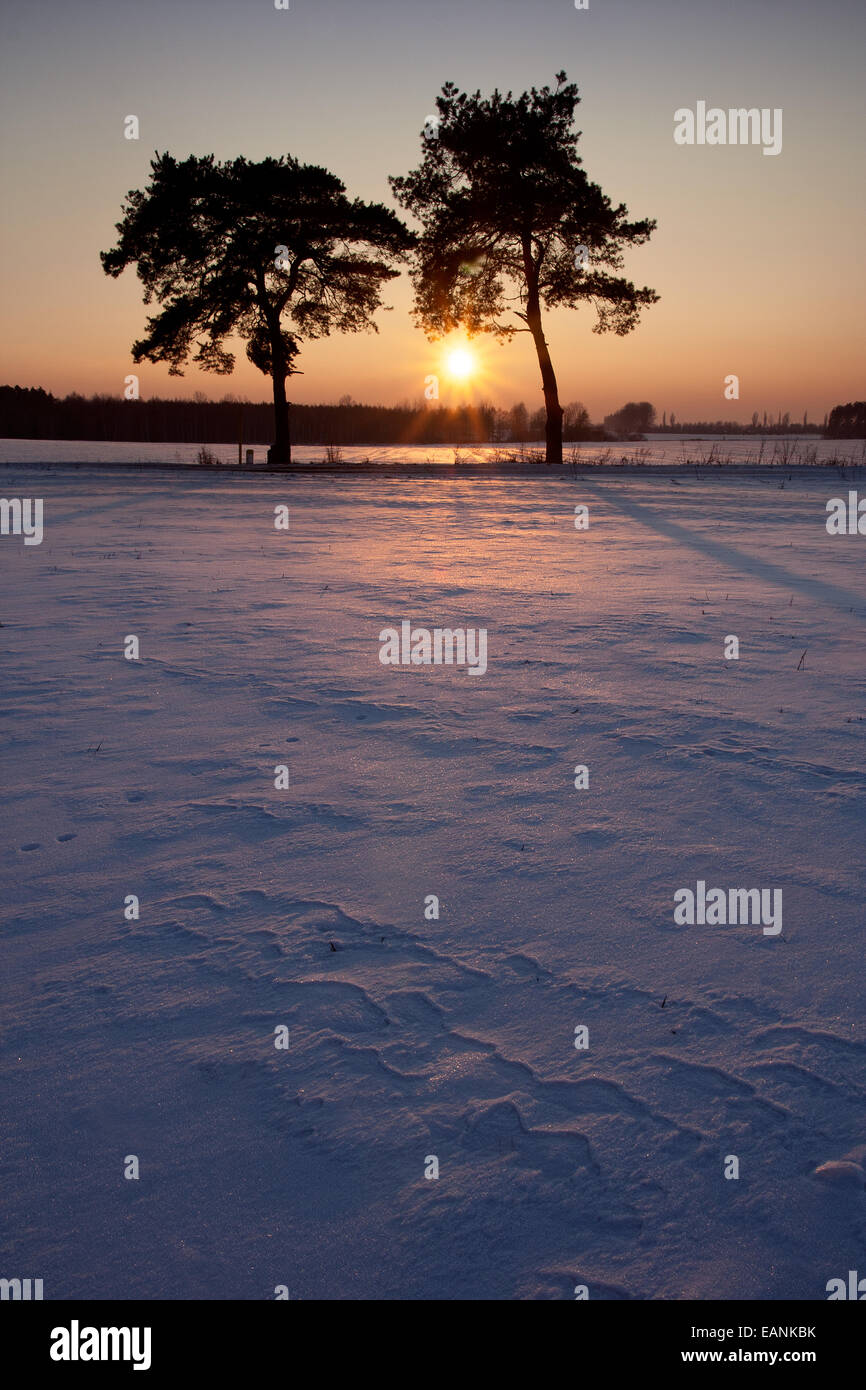 Winter field at sunset landscape Stock Photo - Alamy