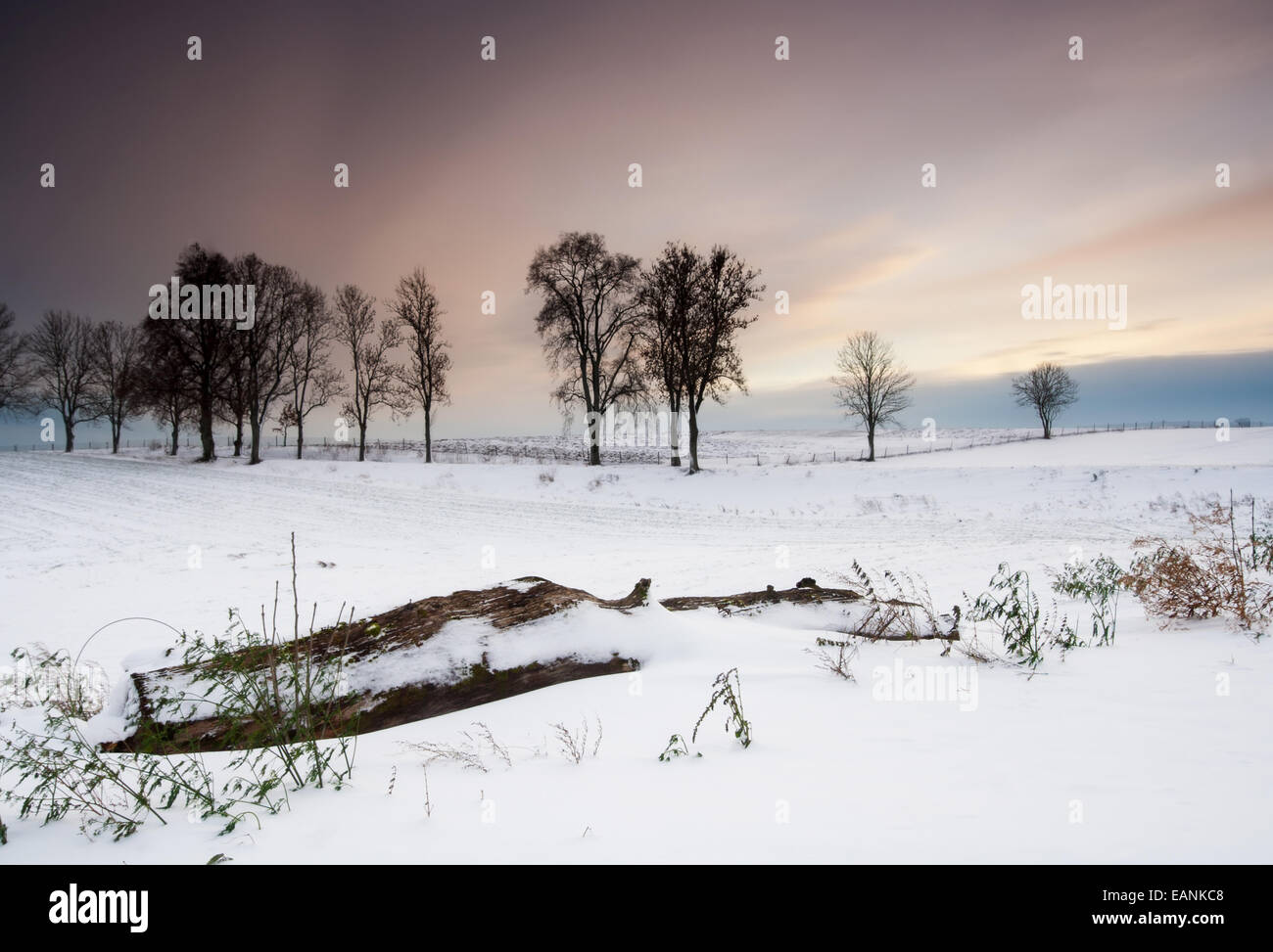Winter field at sunset landscape Stock Photo - Alamy