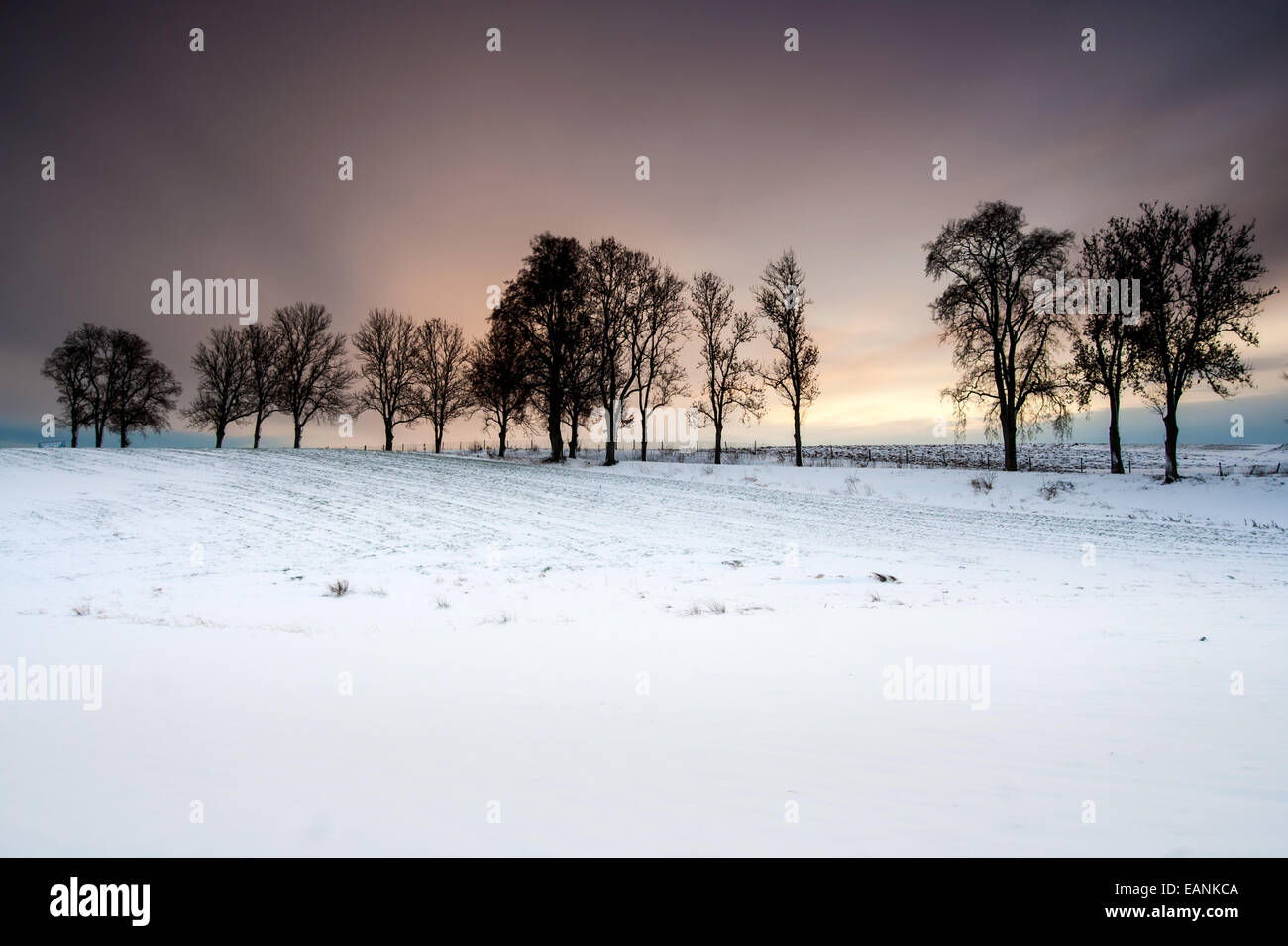 Winter field at sunset landscape Stock Photo - Alamy