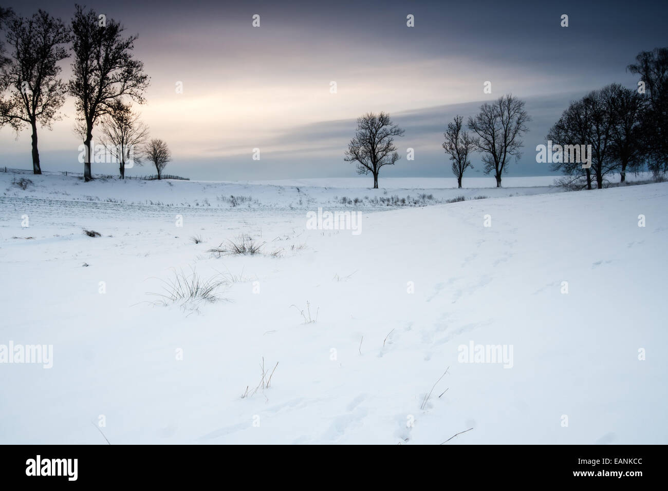 Winter field at sunset landscape Stock Photo - Alamy