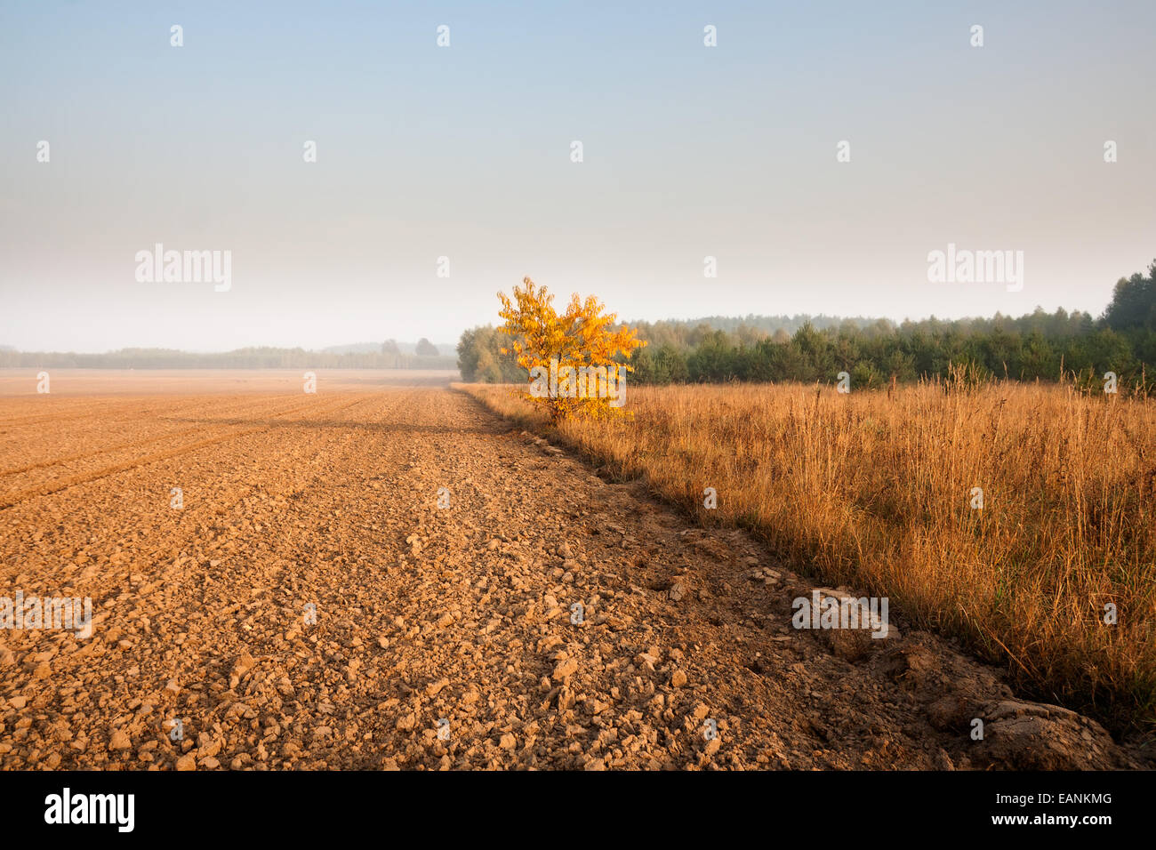 Beautiful plowed field autumnal hi-res stock photography and images - Alamy