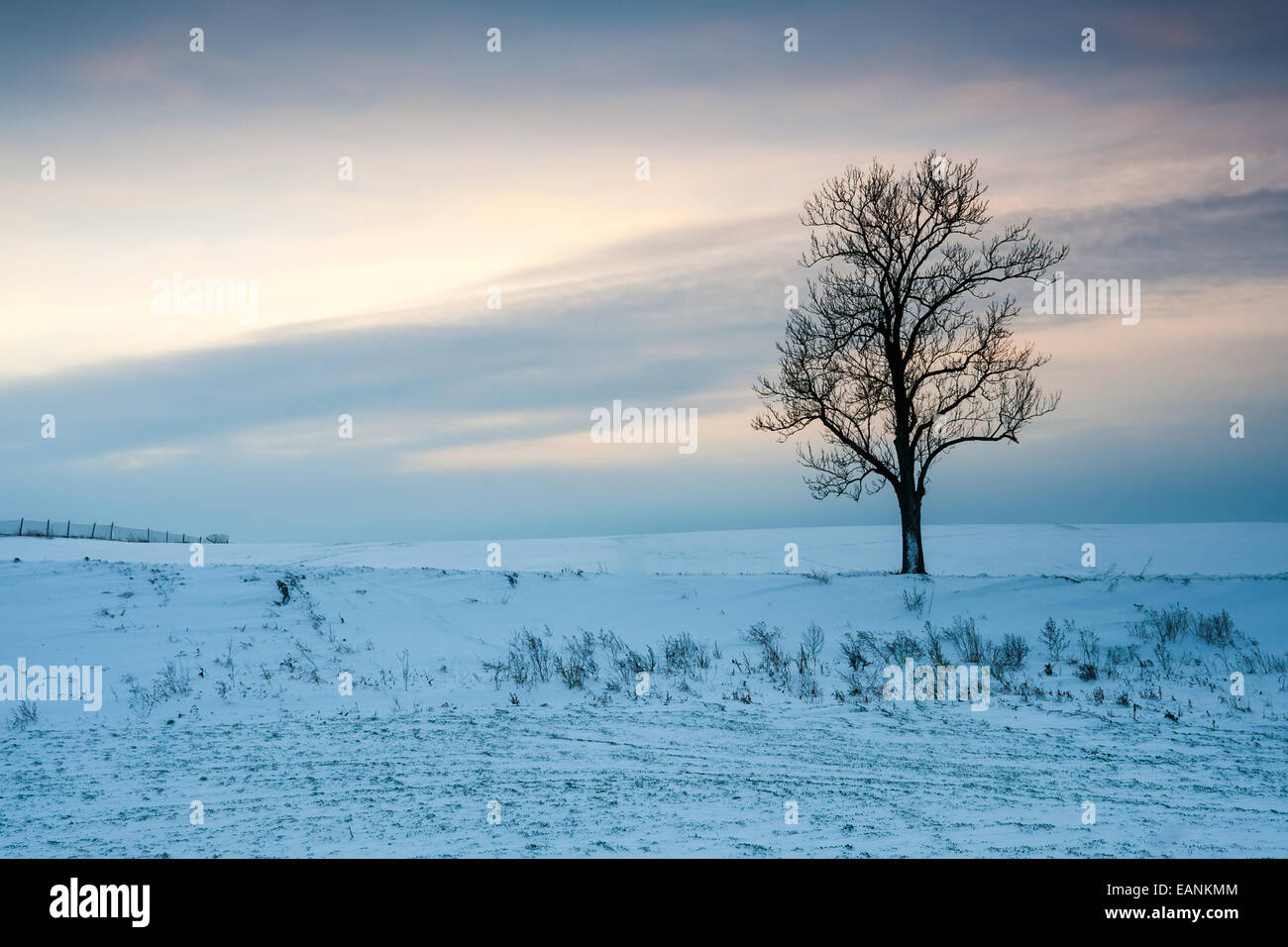 Winter field at sunset landscape Stock Photo - Alamy