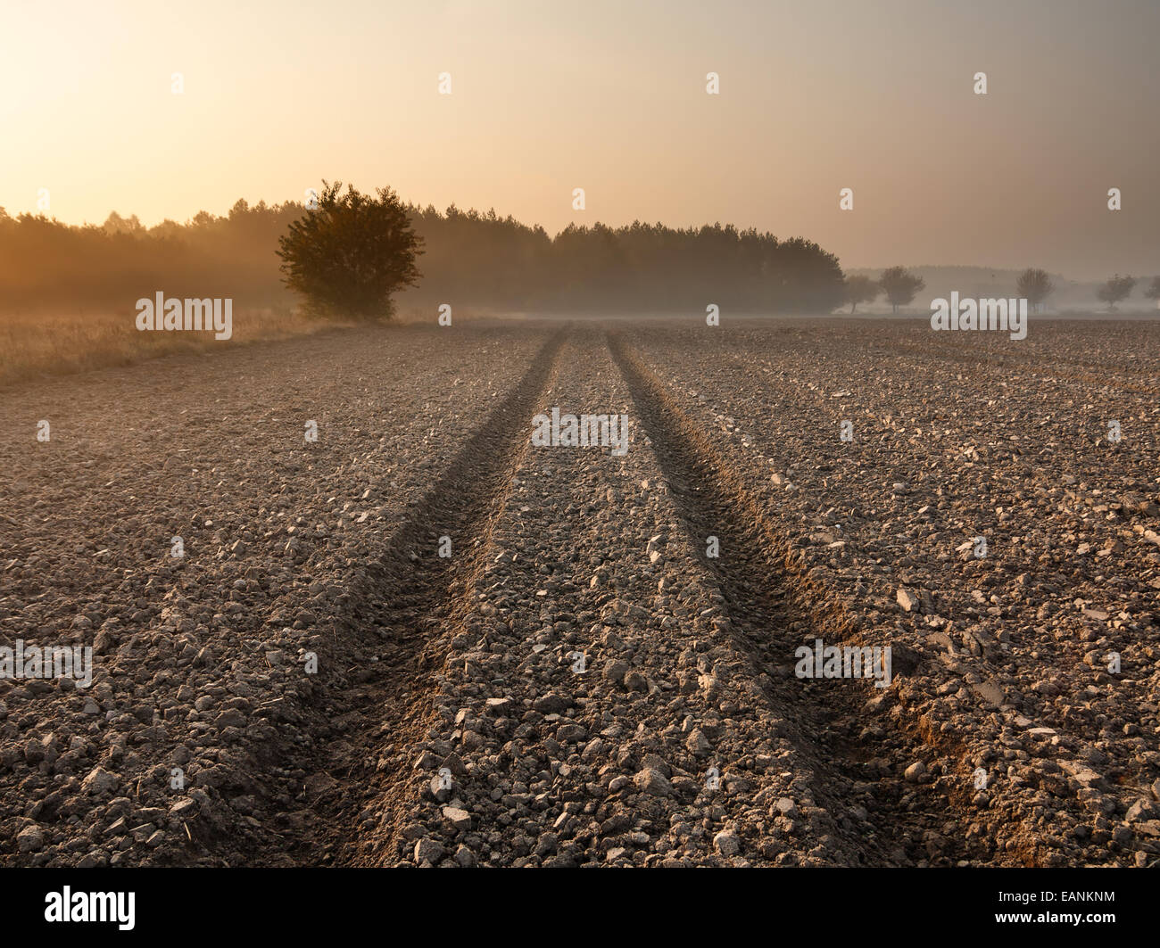 Beautiful plowed field autumnal hi-res stock photography and images - Alamy