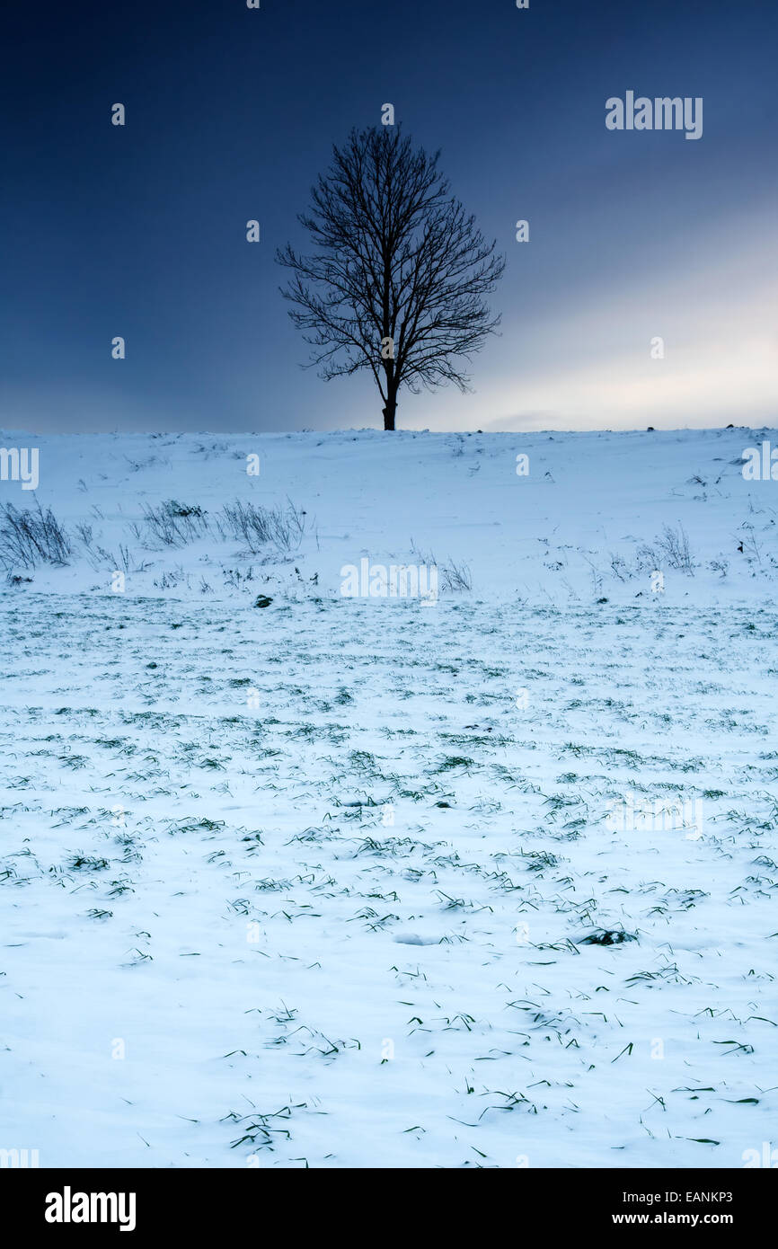 Winter field at sunset landscape Stock Photo - Alamy