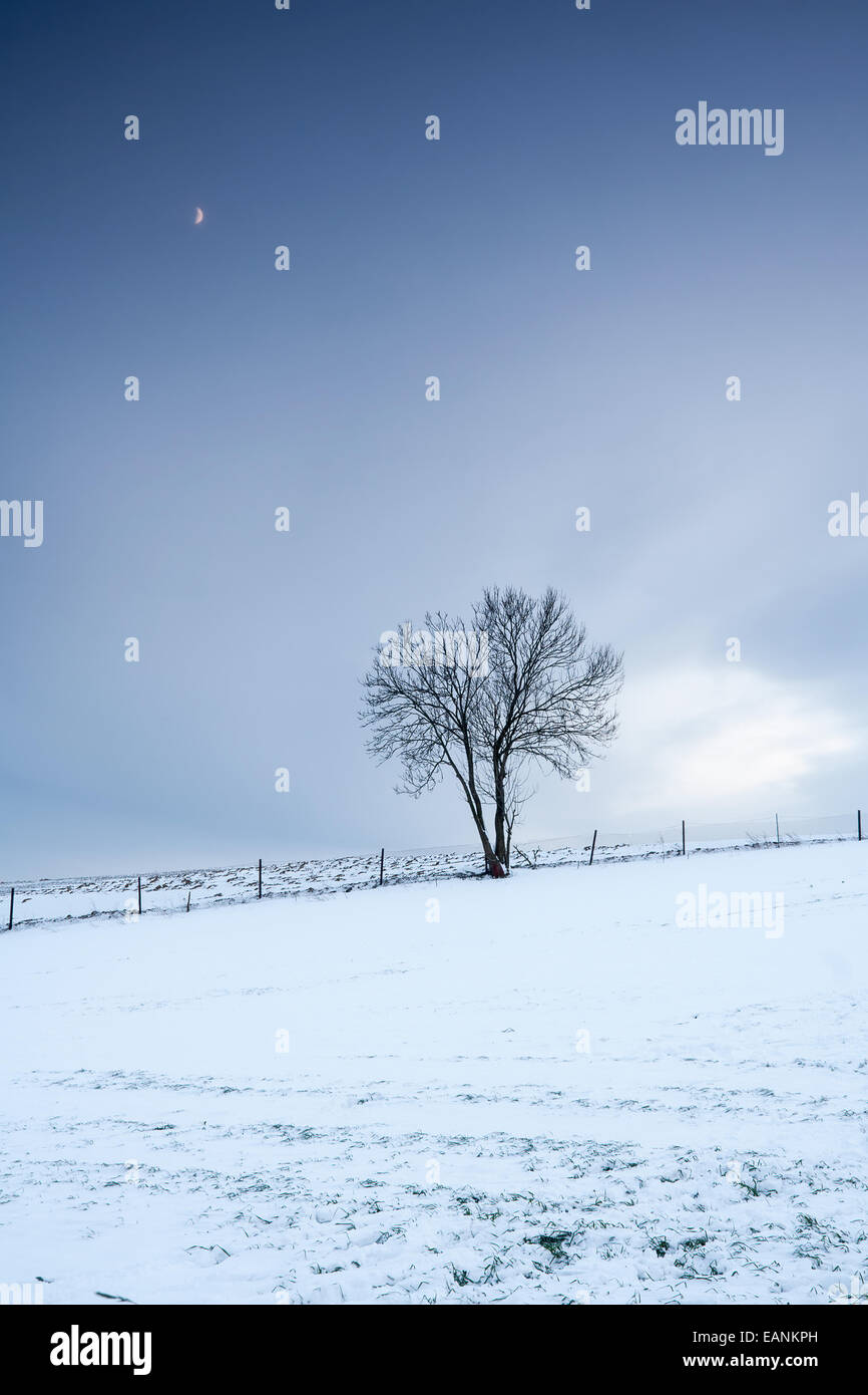 Winter field at sunset landscape Stock Photo - Alamy