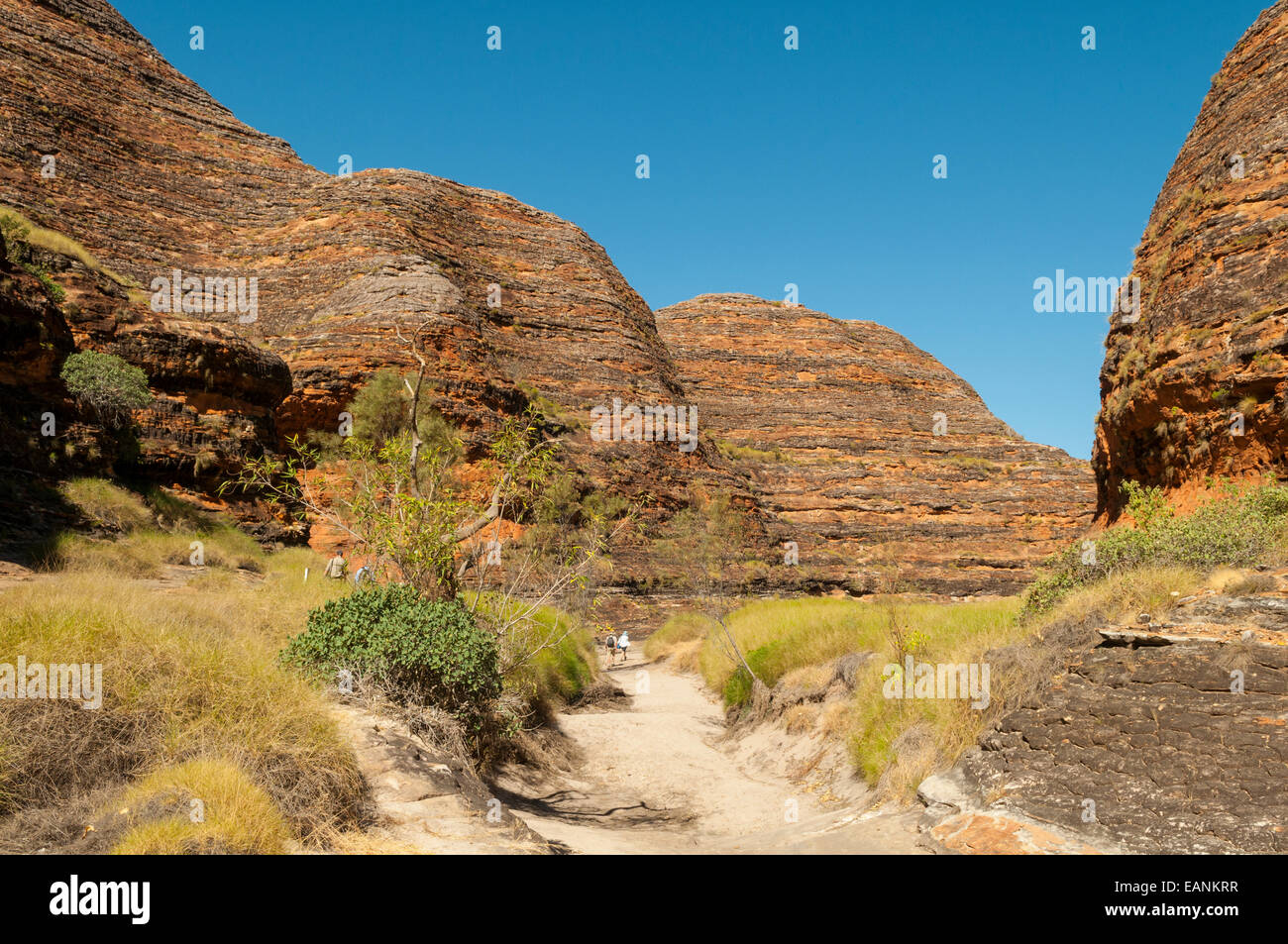 Beehives hi-res stock photography and images - Alamy