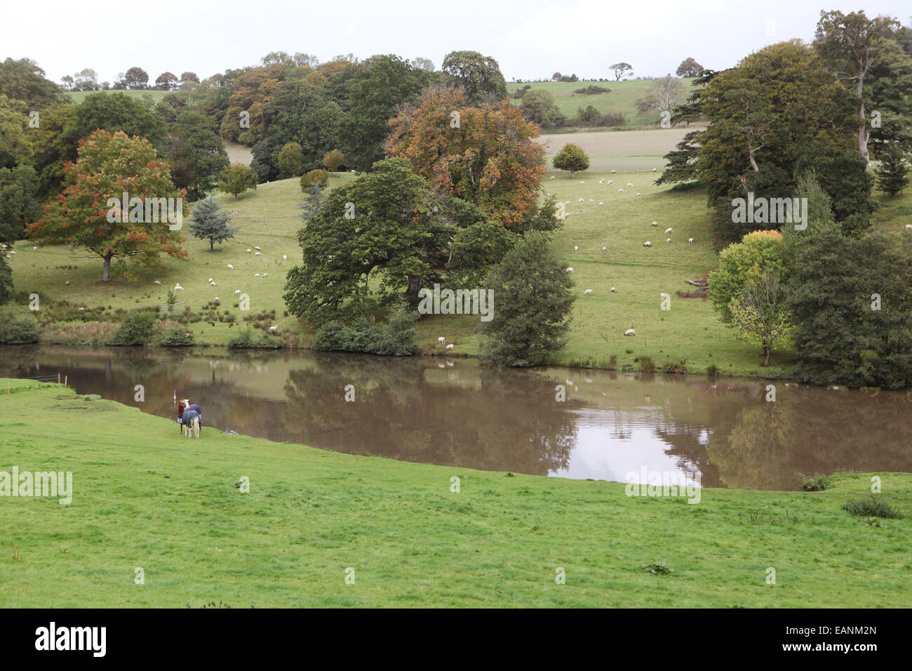 Minterne Gardens, Minterne Magna, Dorset. 2/10/2010 Stock Photo - Alamy