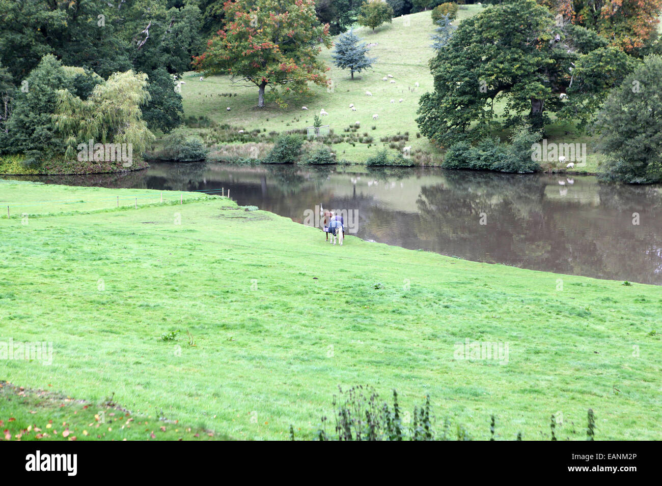 Minterne magna dorset hi-res stock photography and images - Alamy