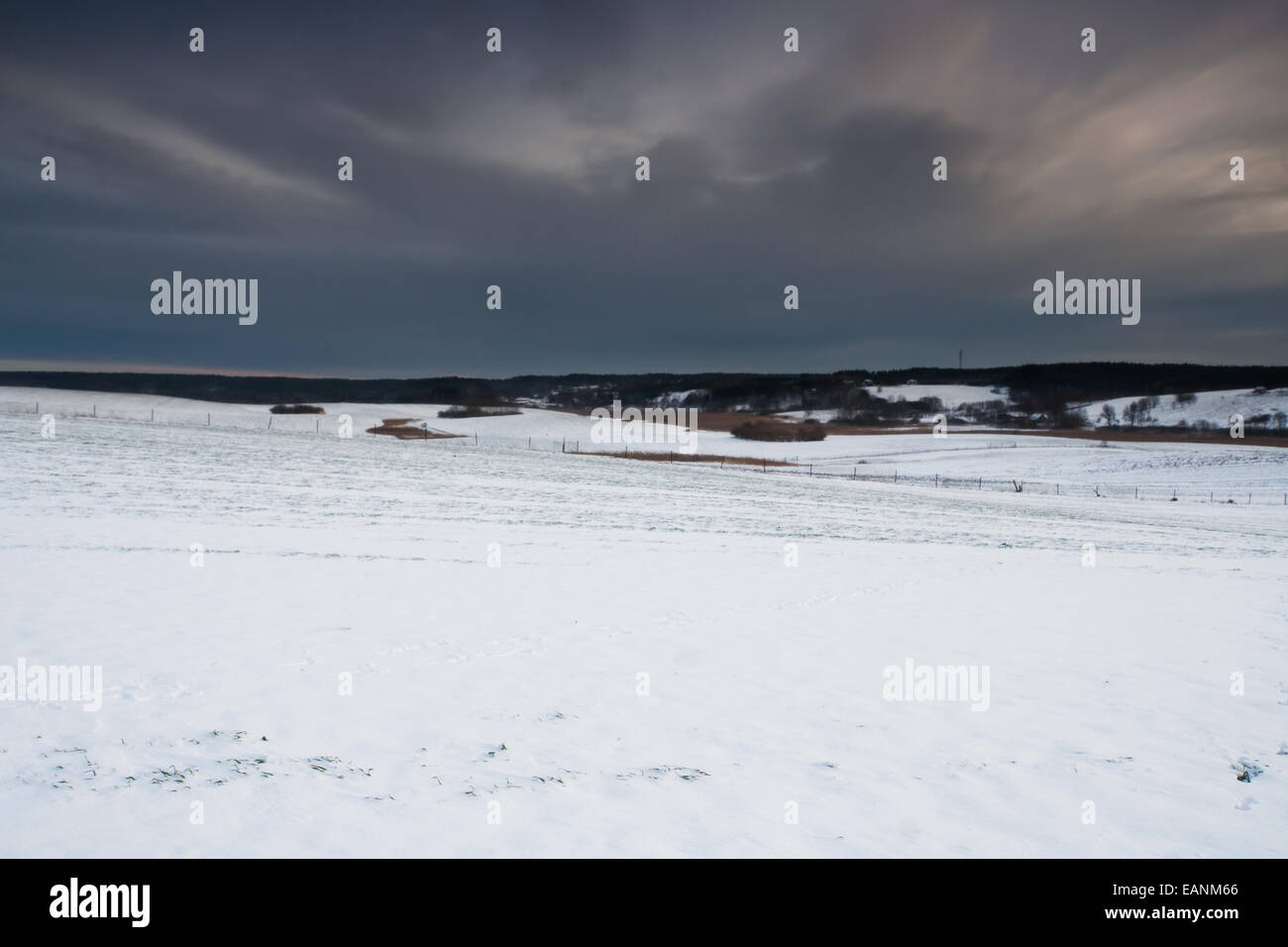 Winter field landscape Stock Photo - Alamy
