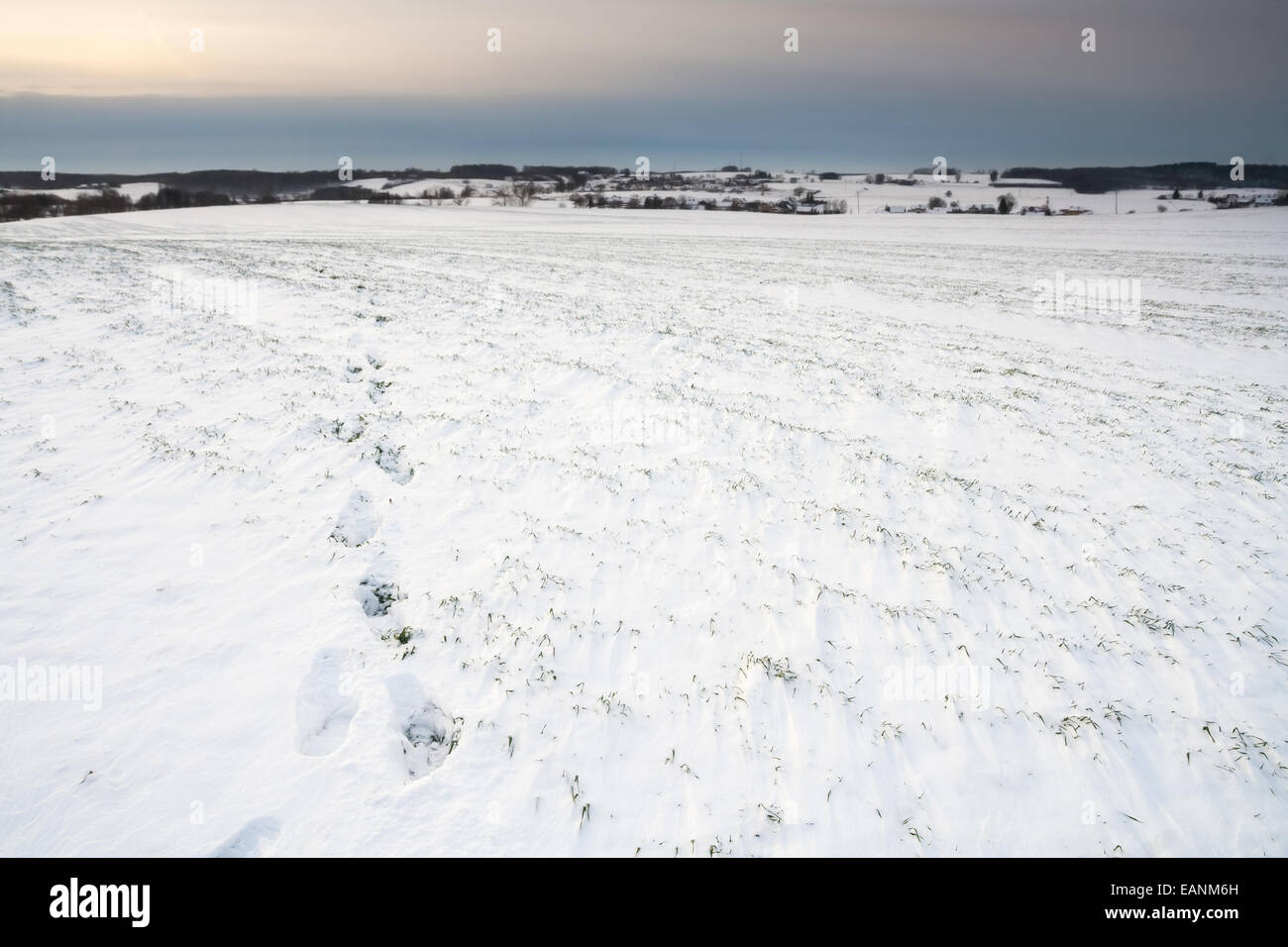 Winter field landscape Stock Photo - Alamy