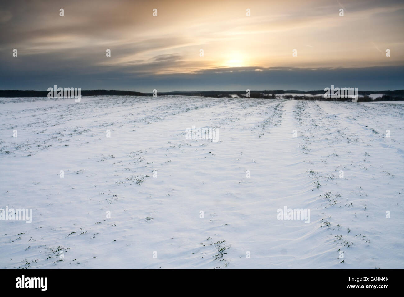 Winter field landscape Stock Photo - Alamy