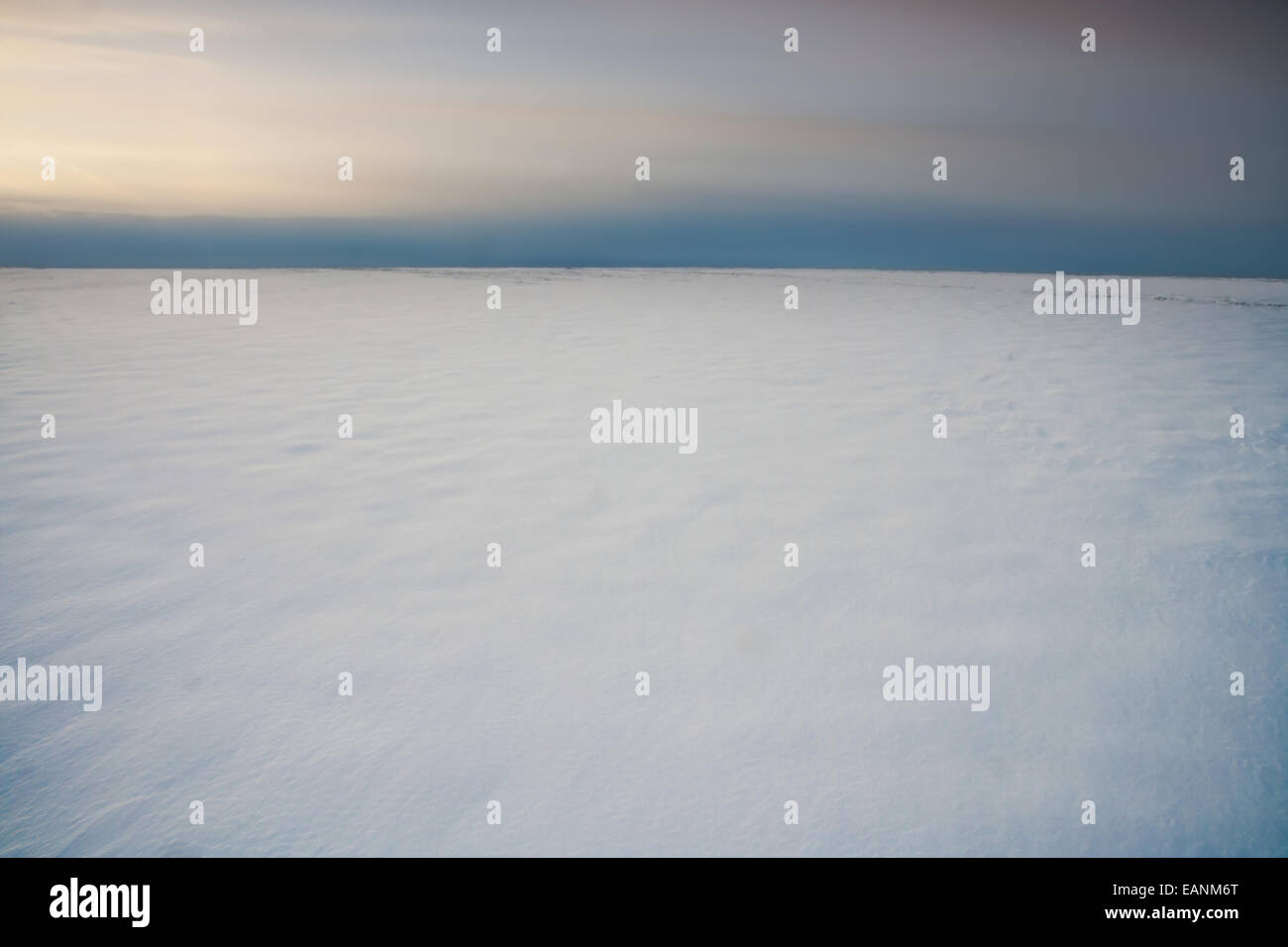 Winter field landscape Stock Photo - Alamy