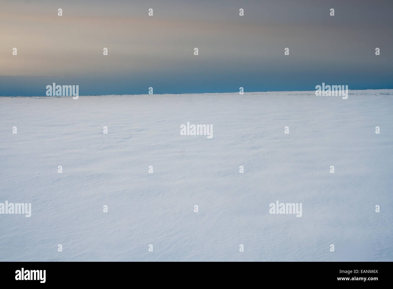 Winter field landscape Stock Photo - Alamy