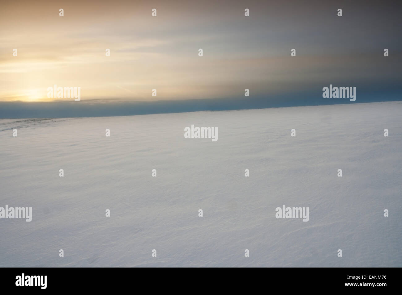 Winter field landscape Stock Photo - Alamy