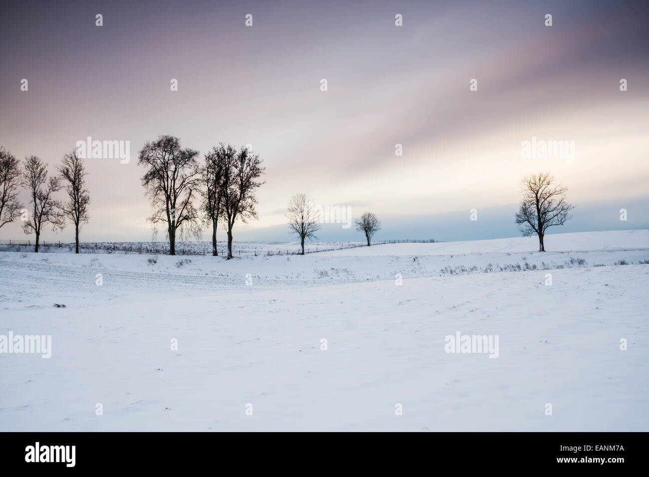 Winter field at sunset landscape Stock Photo - Alamy