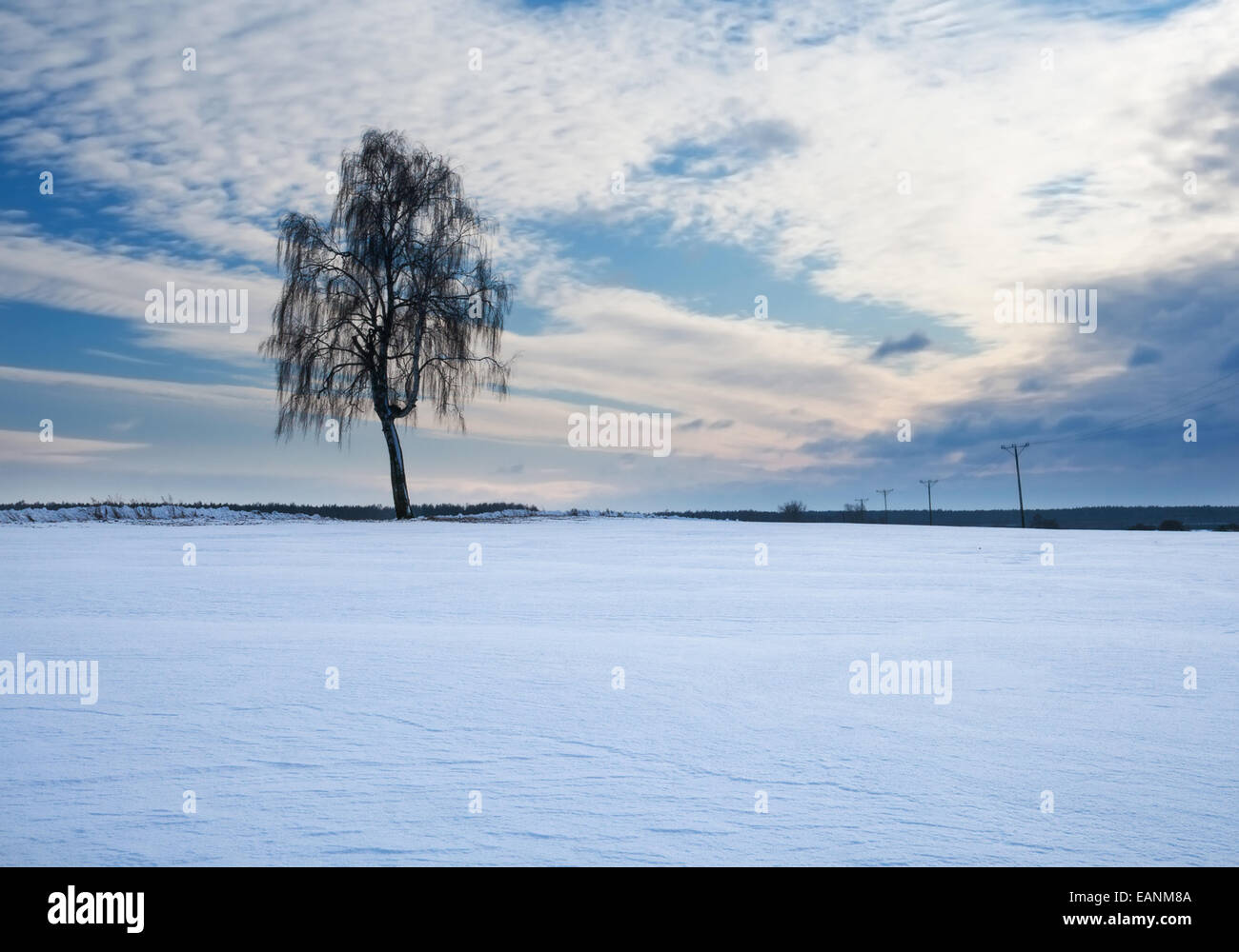 Winter field at sunset landscape Stock Photo - Alamy