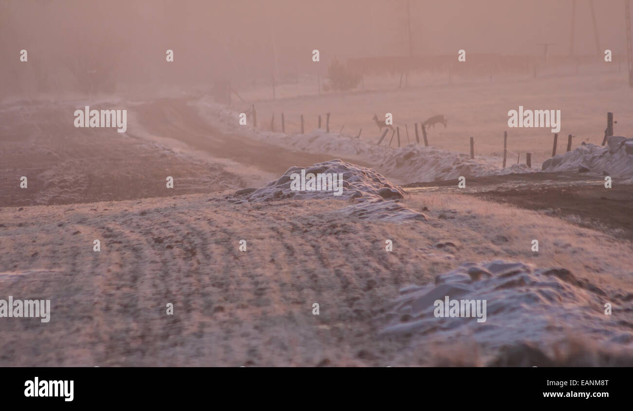 Winter field landscape Stock Photo - Alamy