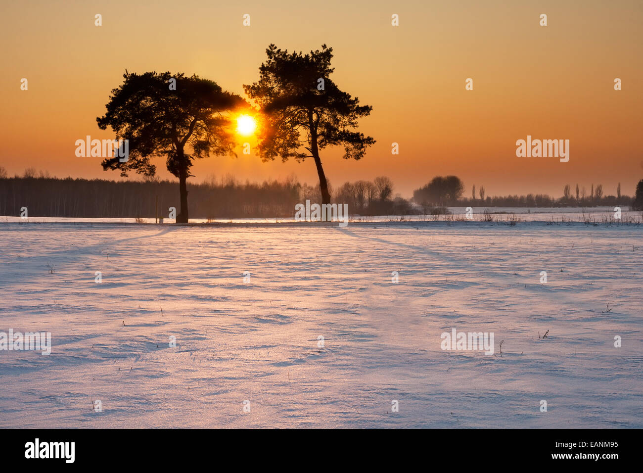 Winter field landscape Stock Photo - Alamy