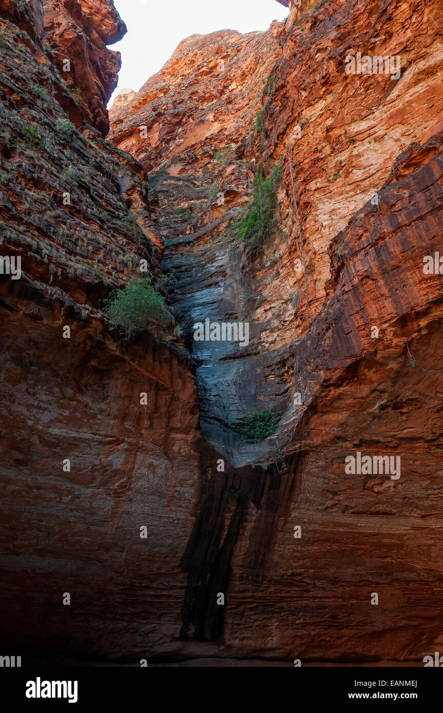 Cathedral gorge purnululu kimberley wa hi-res stock photography and ...