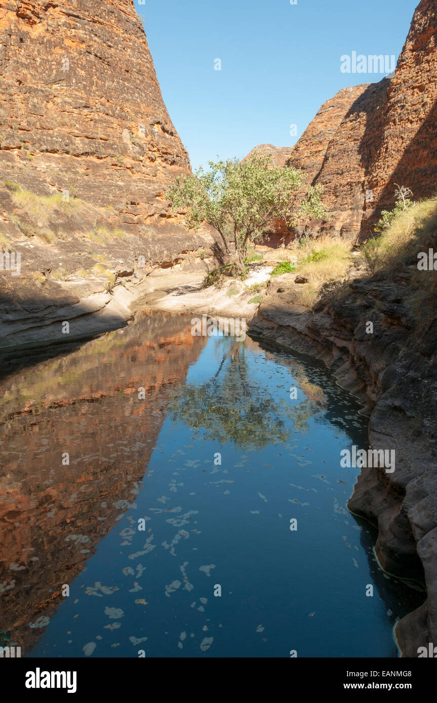 Cathedral Gorge, Purnululu, the Kimberley, WA, Australia Stock Photo ...