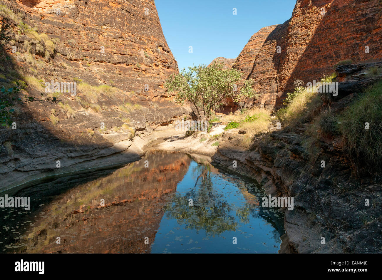 Cathedral Gorge, Purnululu, the Kimberley, WA, Australia Stock Photo ...