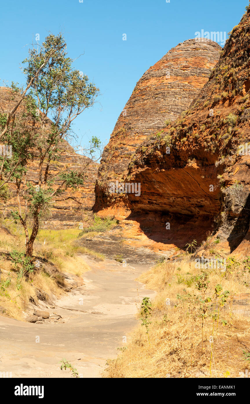Path to Cathedral Gorge, Purnululu, the Kimberley, WA, Australia Stock ...