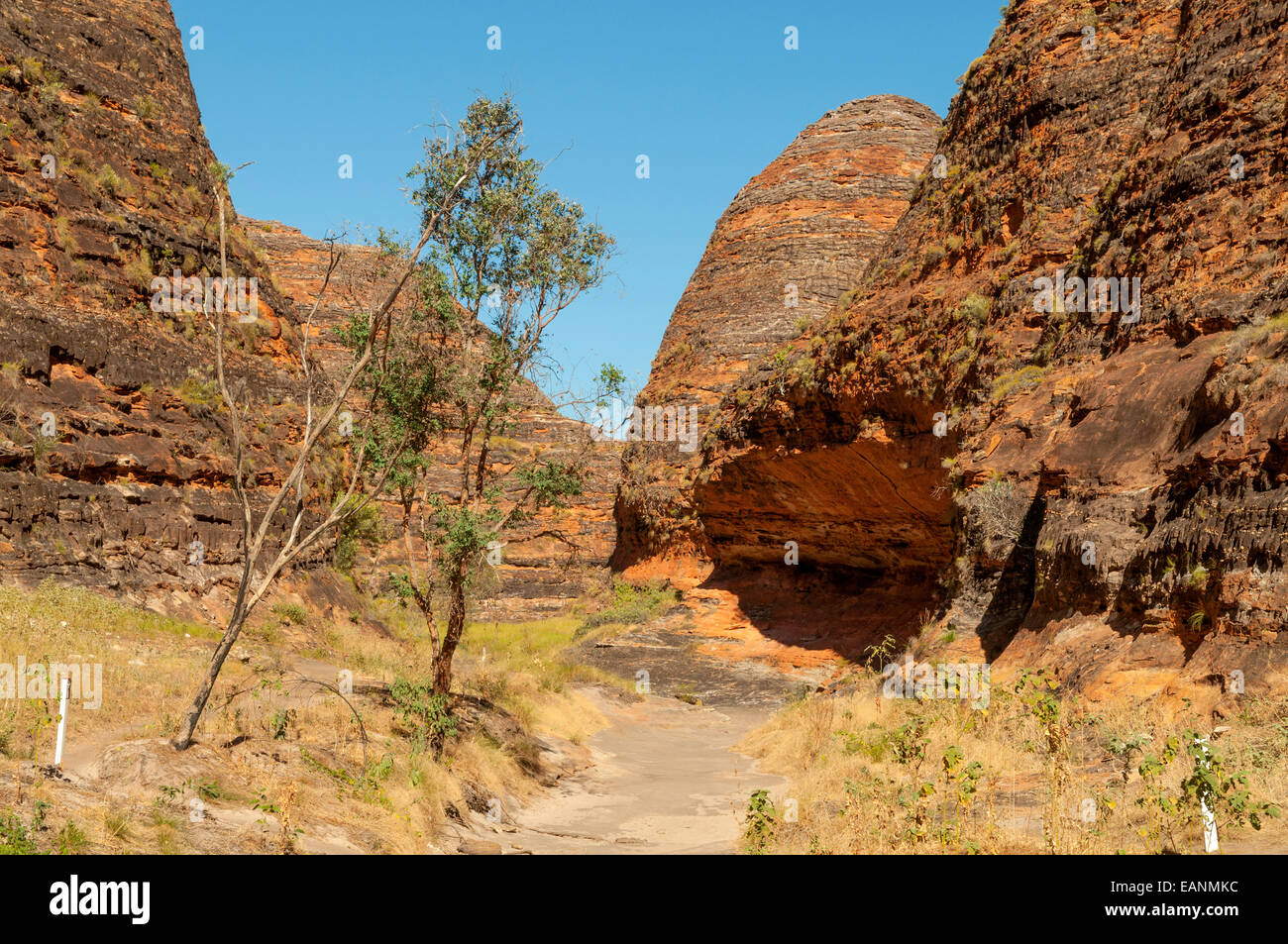 Cathedral gorge western australia hi-res stock photography and images ...