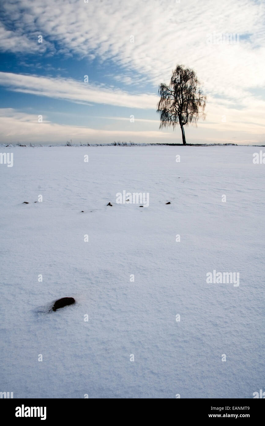 Winter field at sunset landscape Stock Photo - Alamy