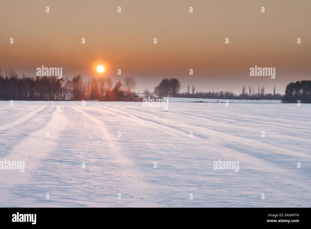 Winter field landscape Stock Photo - Alamy