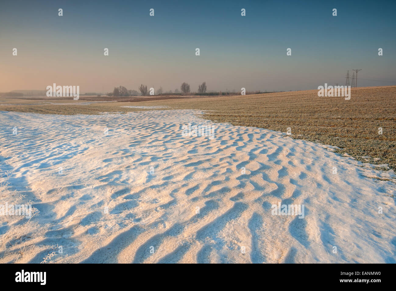 Winter field landscape Stock Photo - Alamy