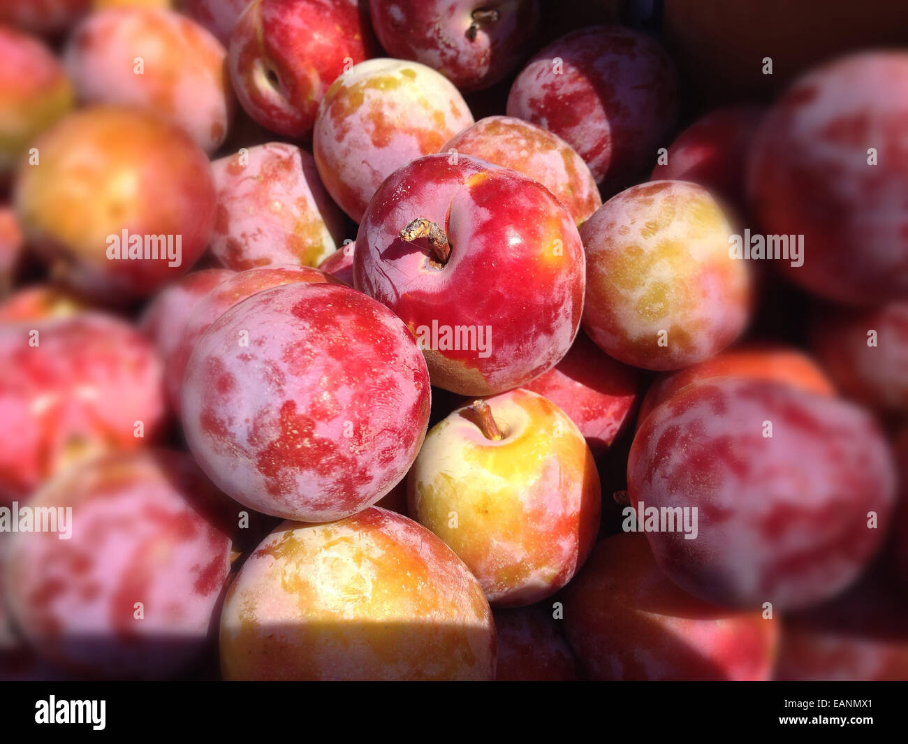 Farmers snack hi-res stock photography and images - Alamy