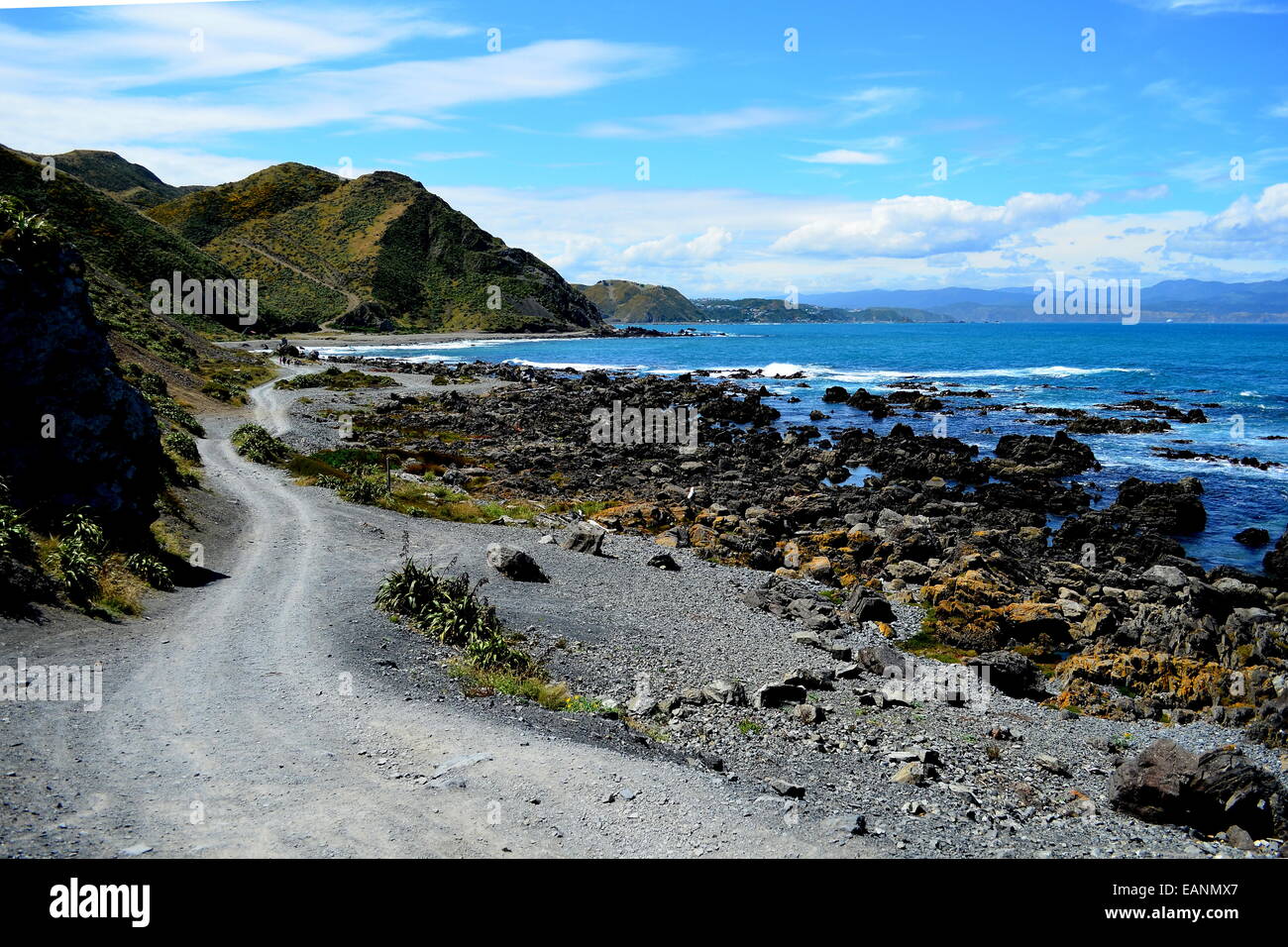 New zealand wellington red rocks hi-res stock photography and images ...