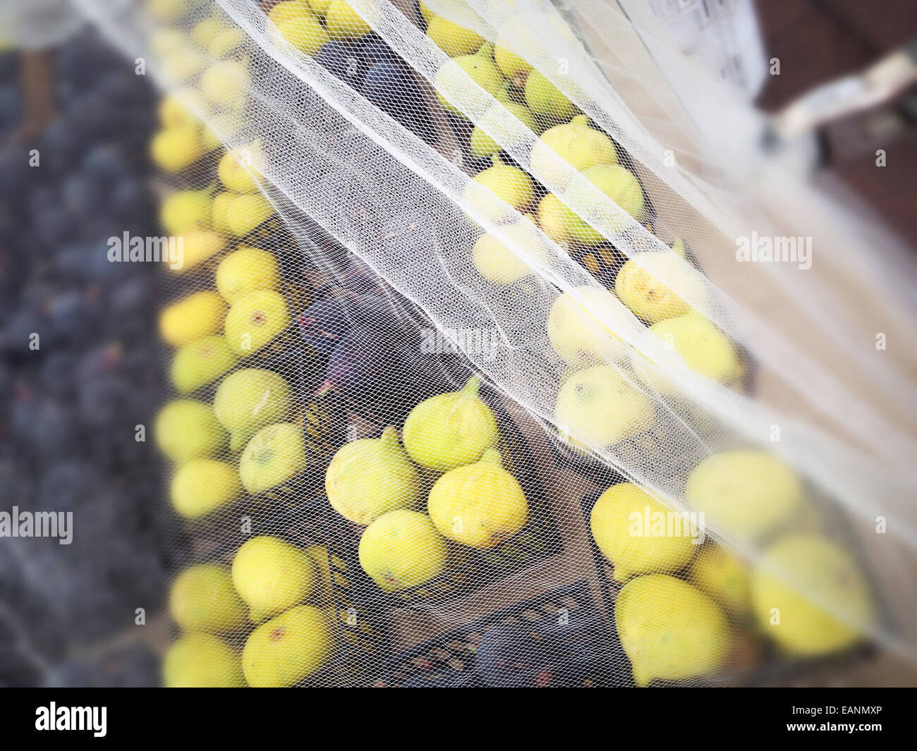 Yellow and Black figs at farmers market stand with white netting Stock ...