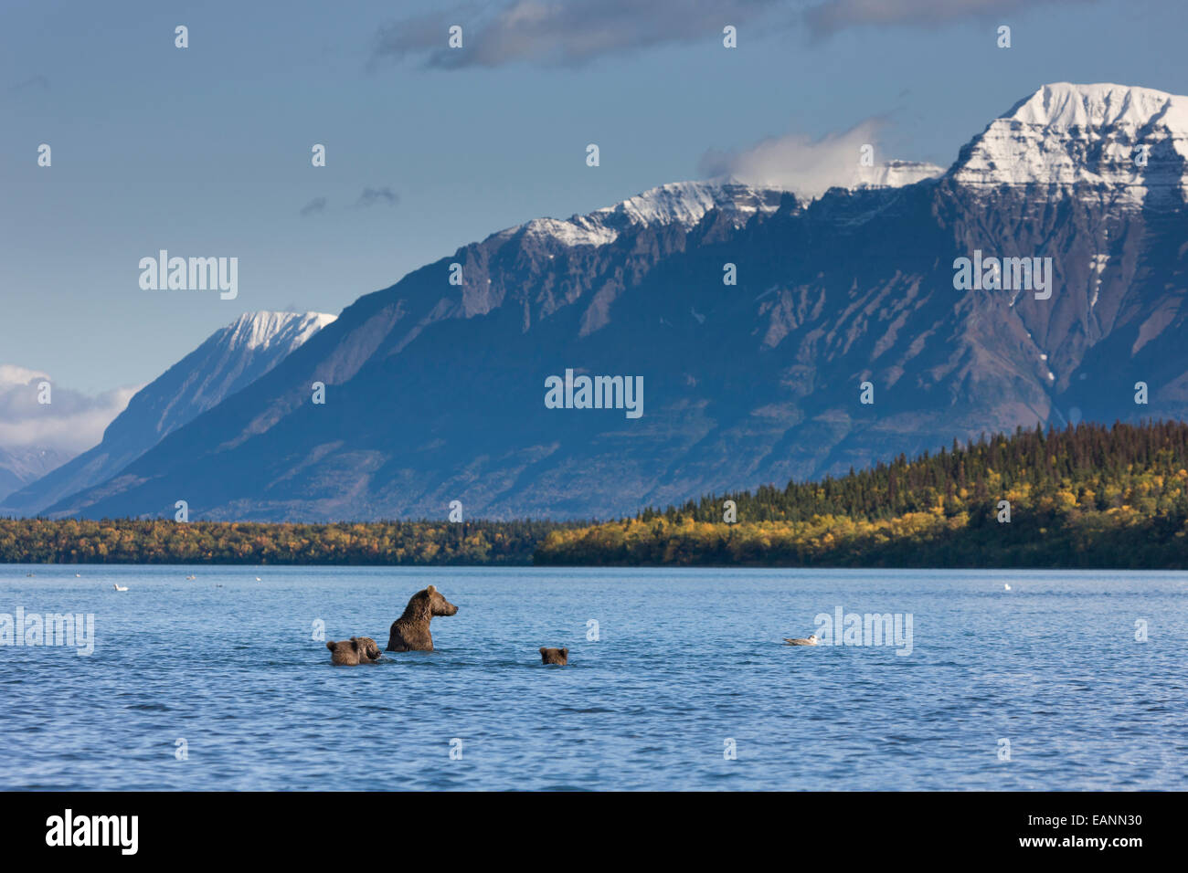 Mount katmai lake alaska hi-res stock photography and images - Alamy
