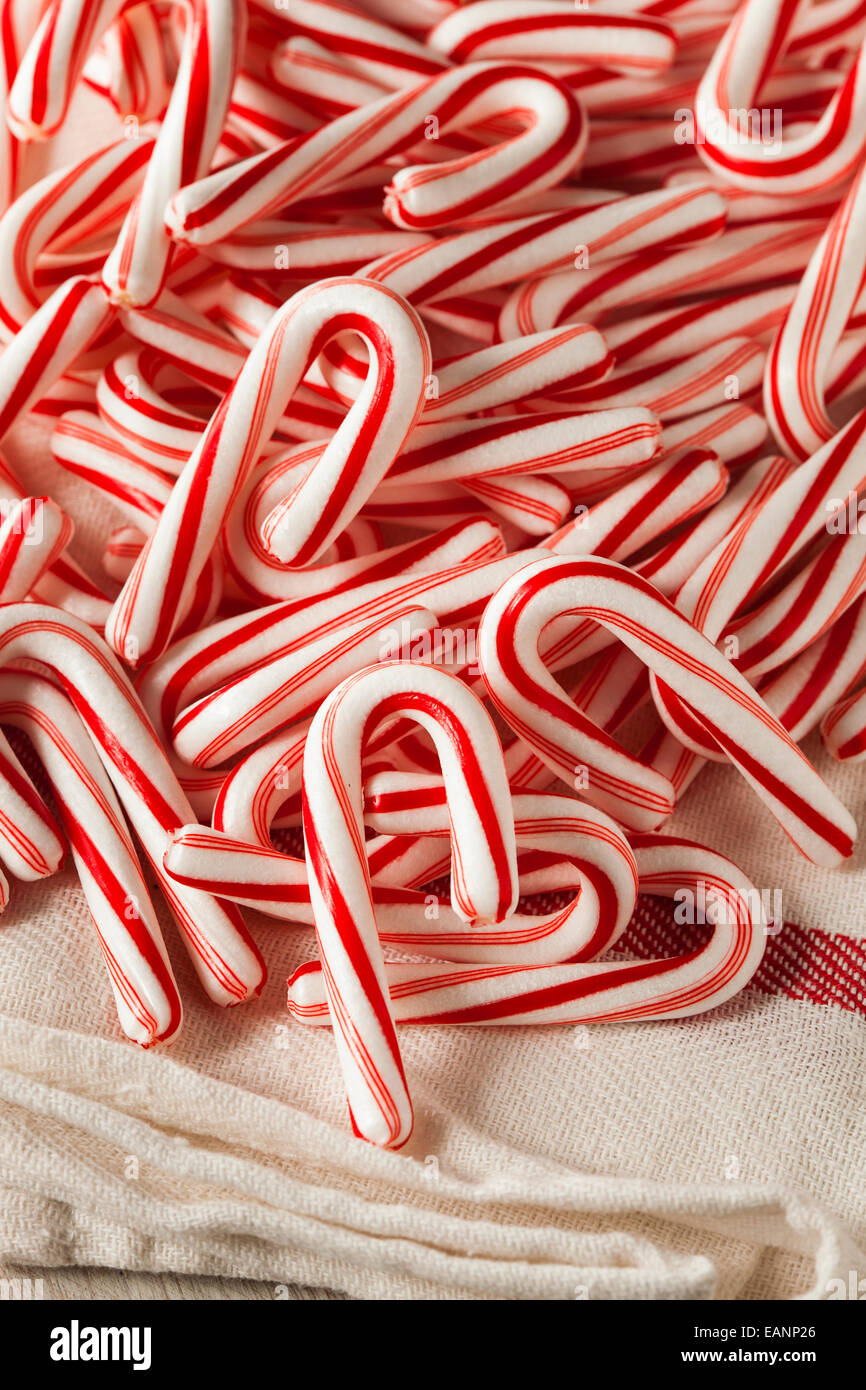 Red and White Mini Candy Canes for Christmas Stock Photo - Alamy