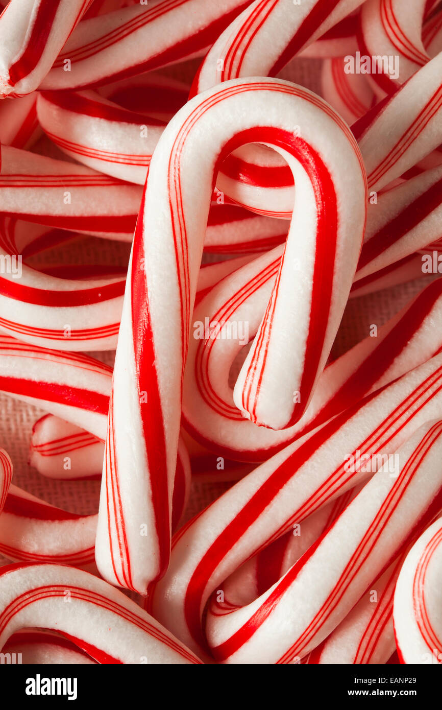 Red and White Mini Candy Canes for Christmas Stock Photo - Alamy