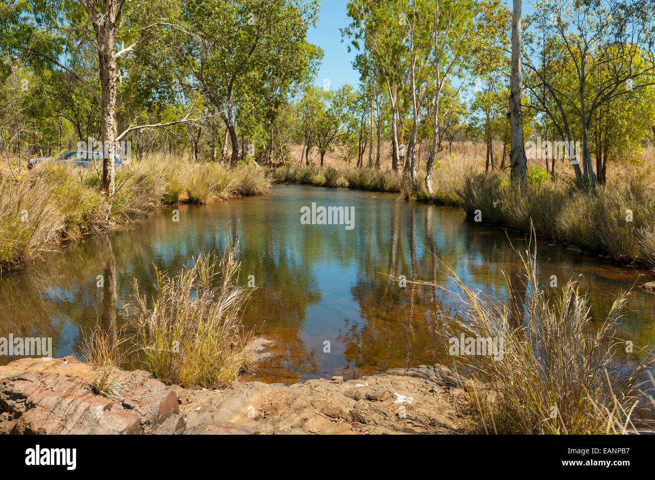 Annie's Creek, Mt Hart, the Kimberley, WA, Australia Stock Photo - Alamy
