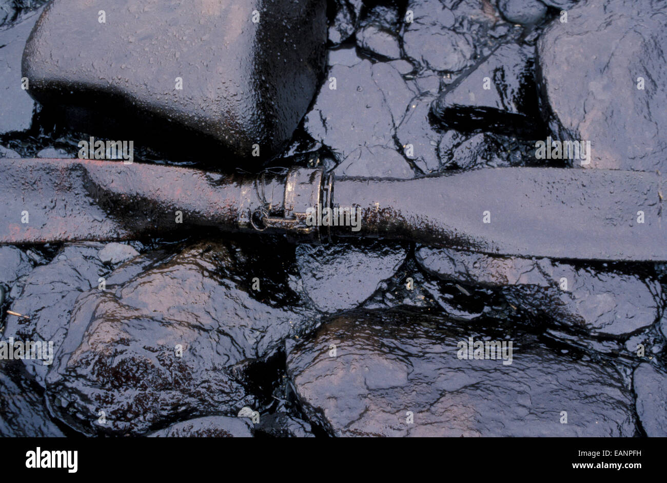 Exxon Valdez Oil Spill 1989 High Resolution Stock Photography and ...