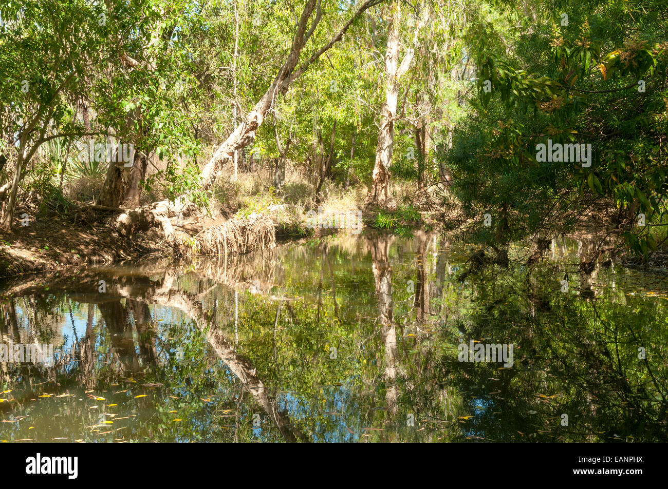 Old homestead hi-res stock photography and images - Alamy