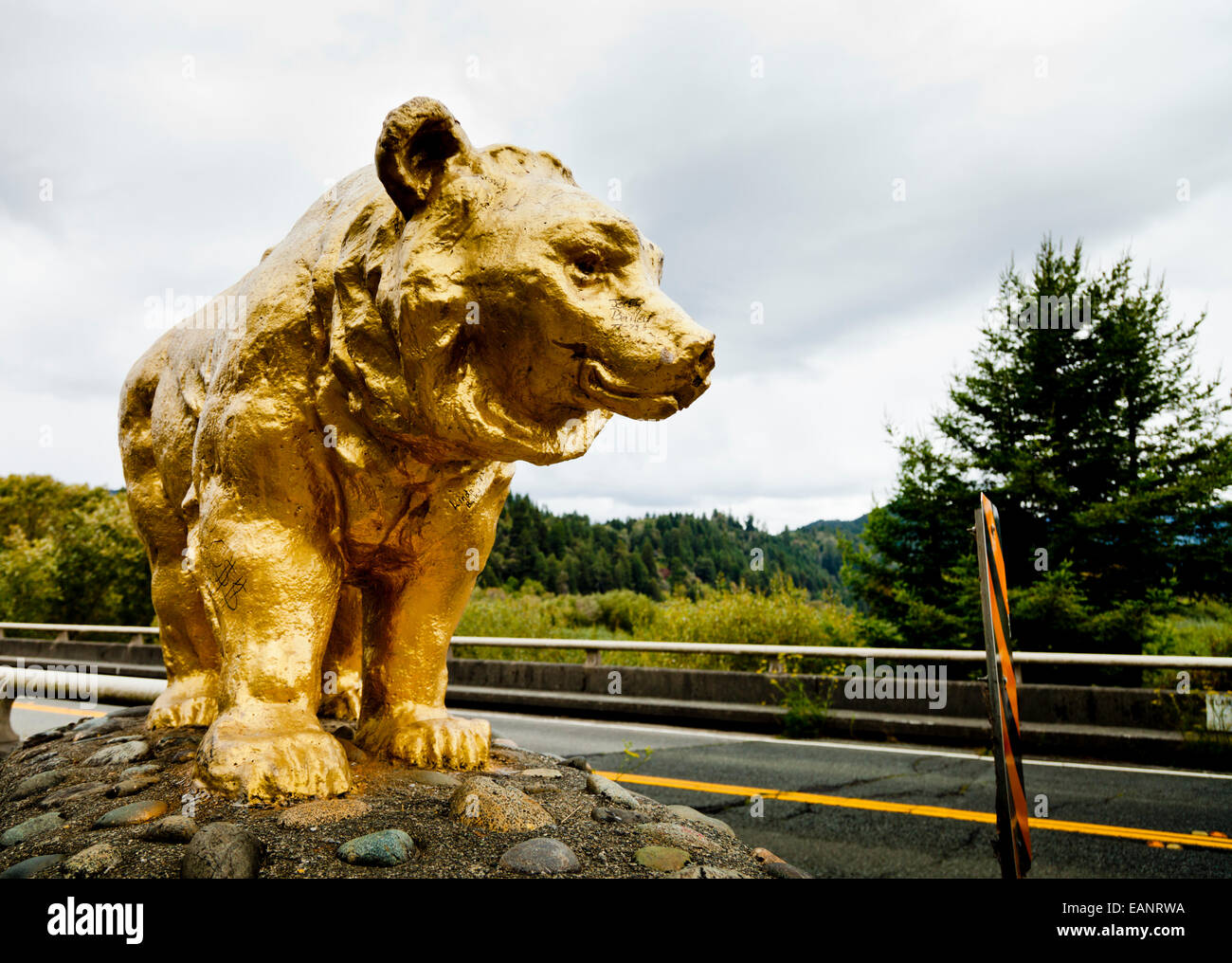 Golden_bear hi-res stock photography and images - Alamy