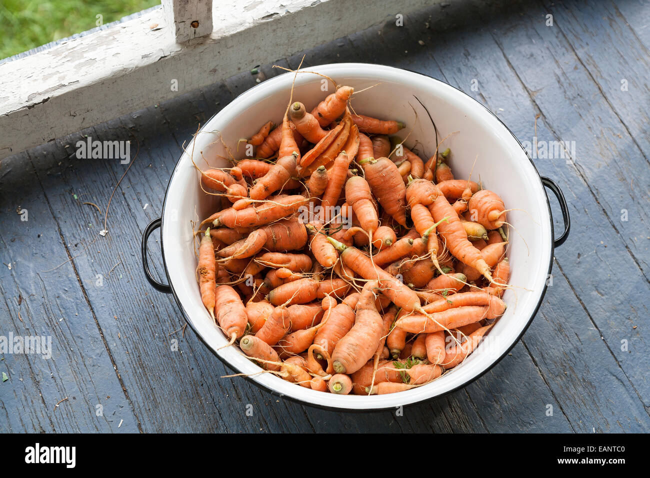 Blue carrots hi-res stock photography and images - Alamy