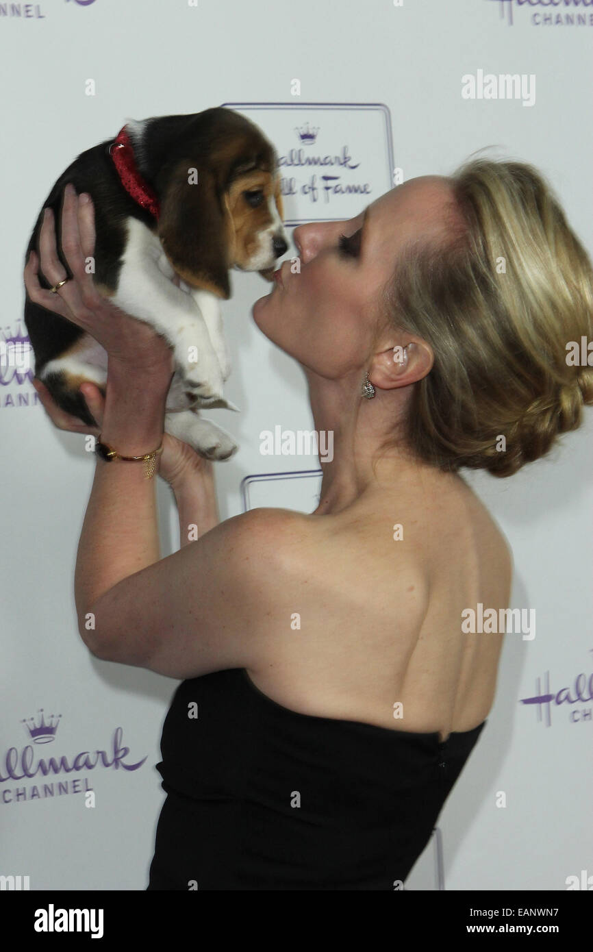 Los Angeles, California, USA. 18th Nov, 2014. Anne Heche attends ...