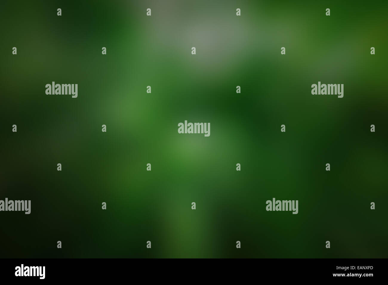 Abstract green blured color gradient background, vignette Stock Photo ...