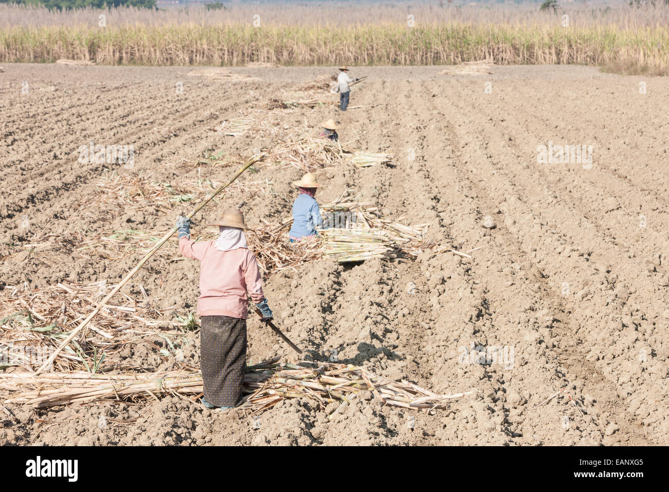 Rural south east asia hi-res stock photography and images - Alamy