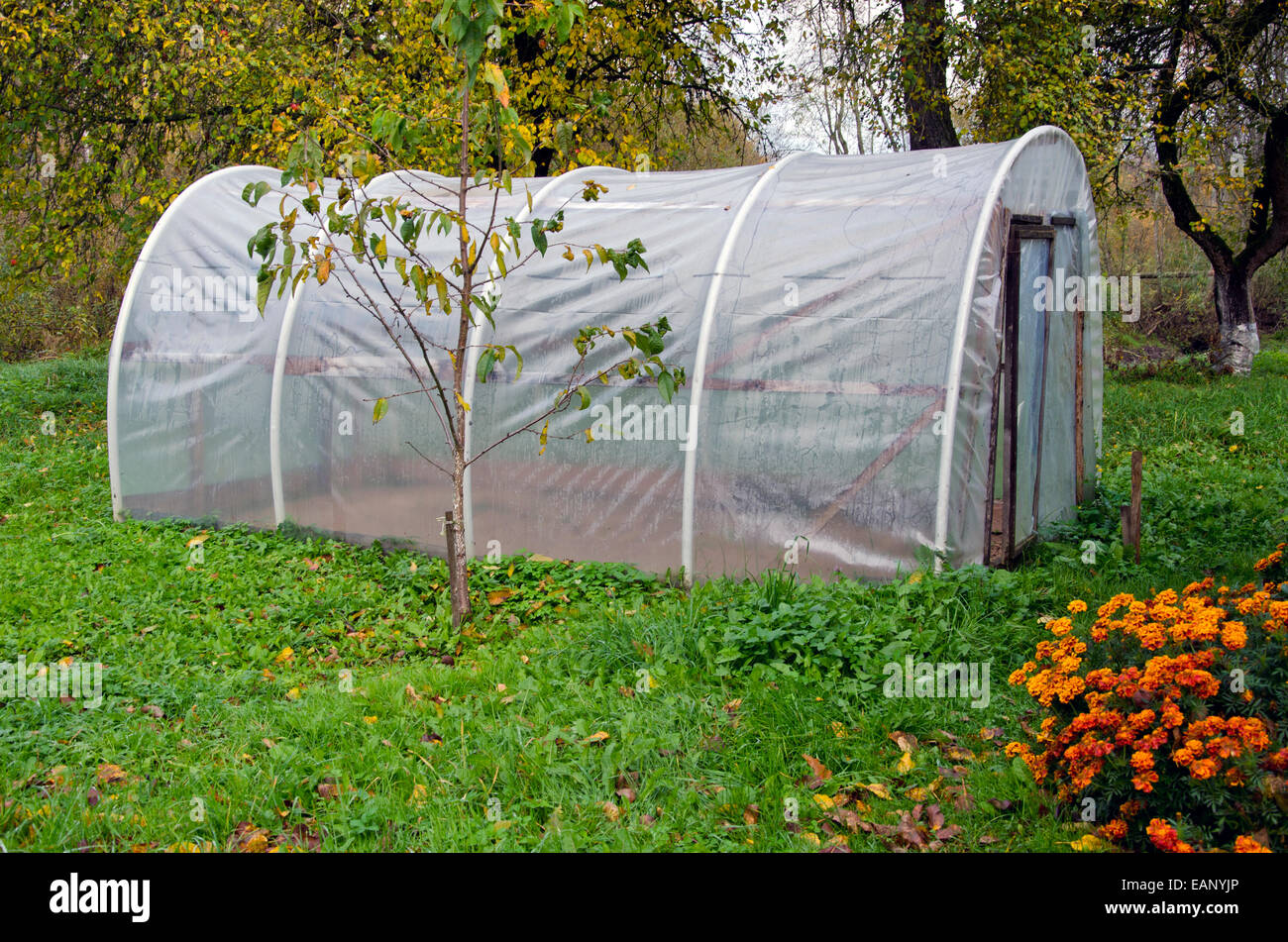 Plastic greenhouse hi-res stock photography and images - Alamy