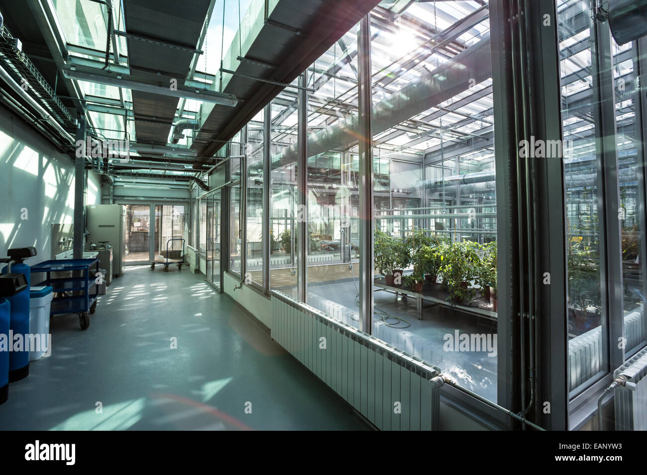 Greenhouse series - inside a greenhouse serving scientific research ...