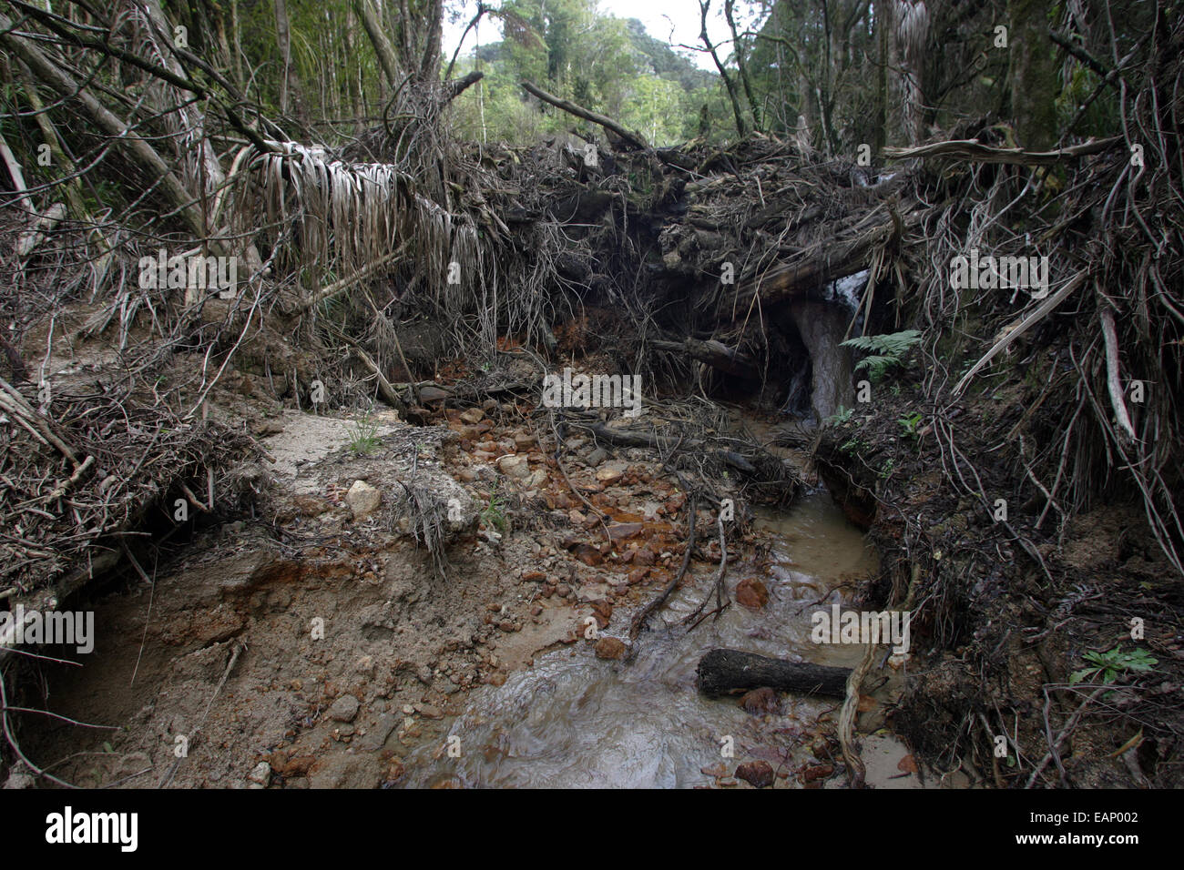 Log jam on brook caused by heavy rain flooding hi-res stock photography ...