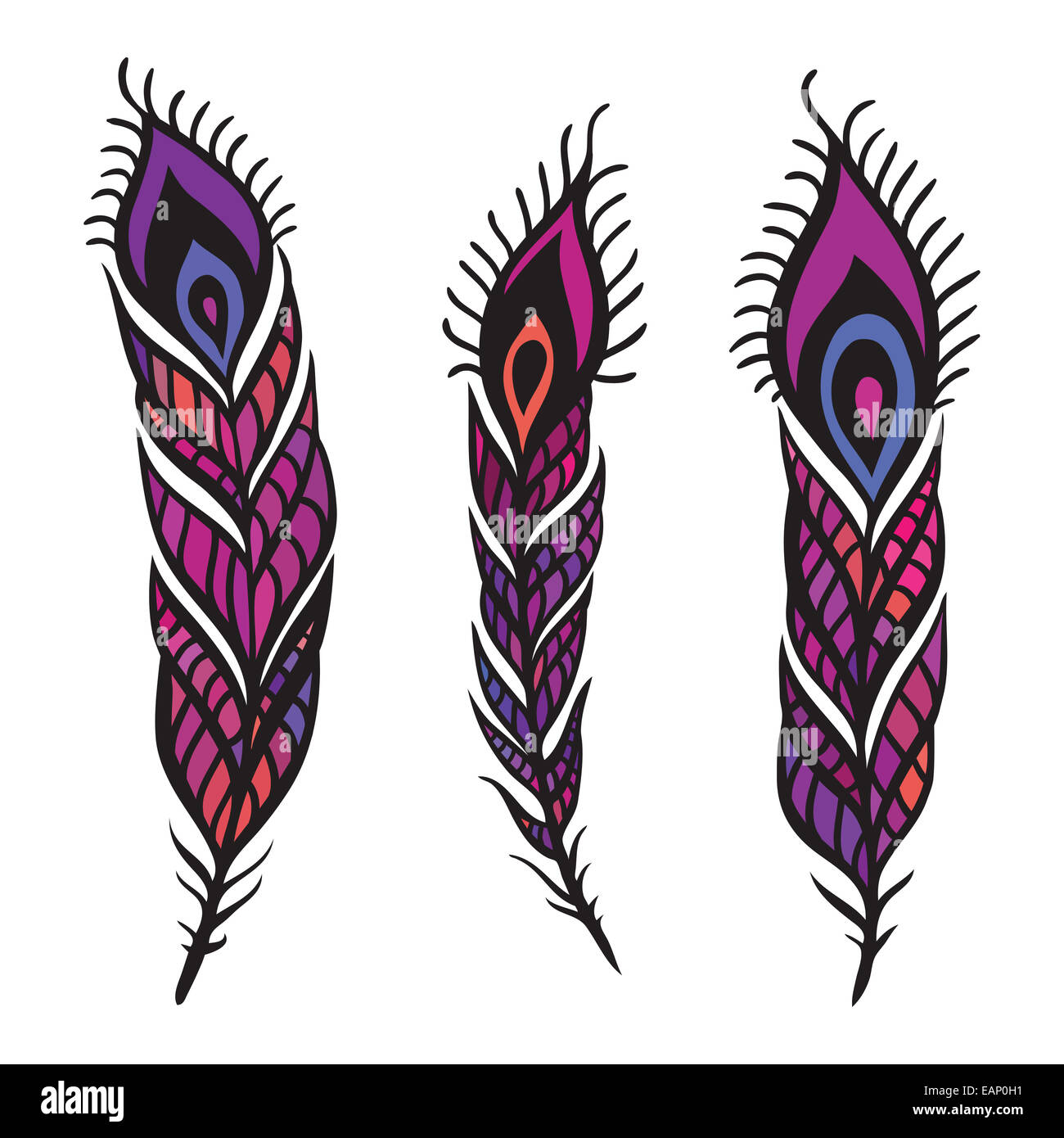 Peacock Feather set Stock Photo - Alamy